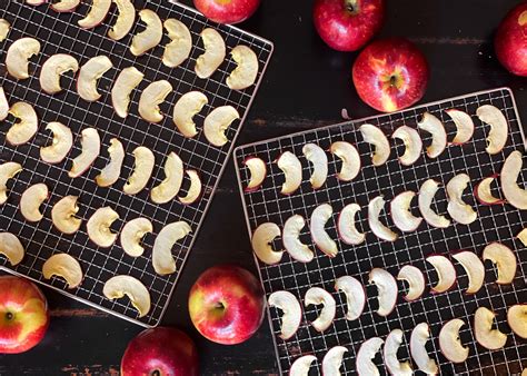 Dehydrated Apple Slices Just A Girl And Her Homestead