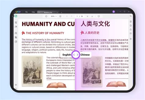 Pdf全文翻译功能正式上线 Updf