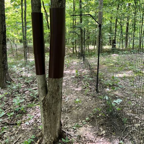 Cat Anti Climb Tree Guard Baffle Kit Small Trees Fence Trees Climb Trees