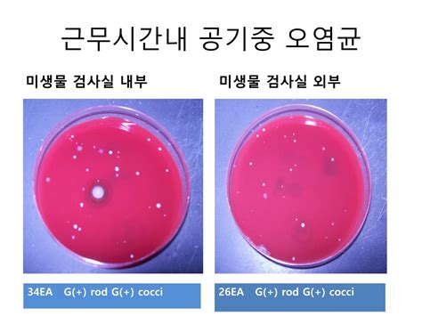 Ppt 병원 감염균과 오염균 Powerpoint Presentation Free Download Id3512672