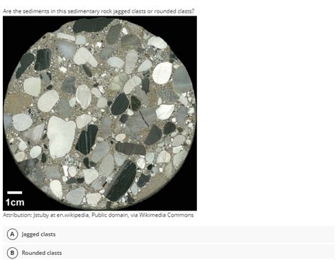 Solved Are The Sediments In This Sedimentary Rock Jagged