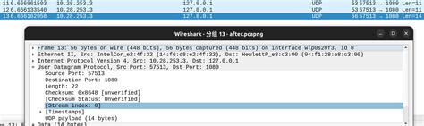Bug Cant Relay Udp Under V2ray Socks5 · Issue 165 · Xjasonlyu