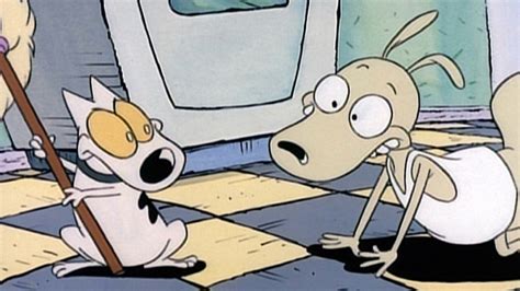Ver La Vida Moderna De Rocko Temporada 1 Episodio 5 La Vida Moderna De