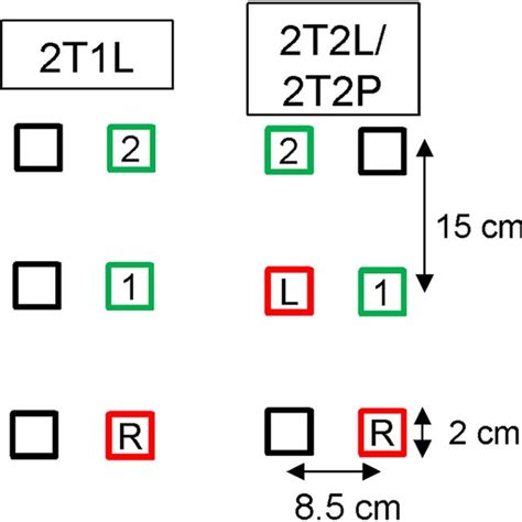 Illustration Of The Target Array And Sequence Aiming Contexts