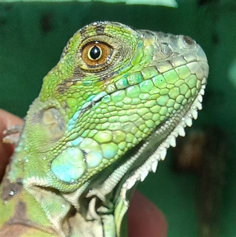 Francisco Cervantes On Reels Facebook