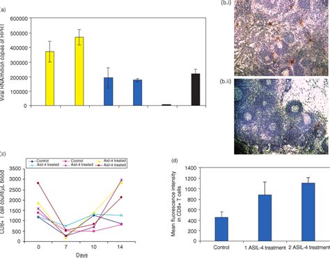 A Real Time Reverse Transcriptase Rt Polymerase Chain Reaction