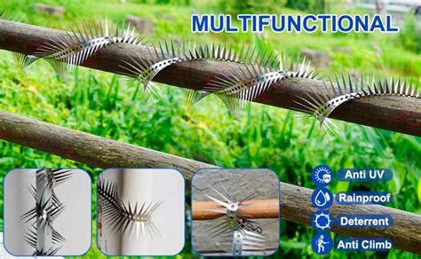 News Anti Bird Spikes A Humane Solution To Bird Infestations