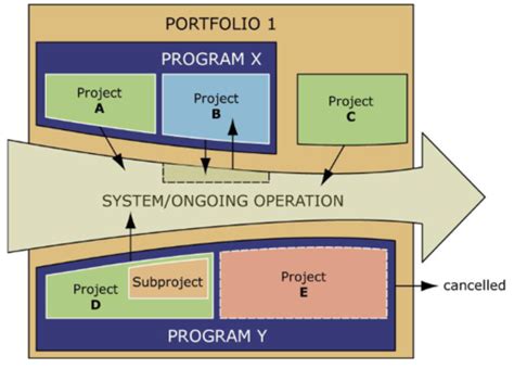 Itpm All Weeks Updated 2404 Flashcards Quizlet