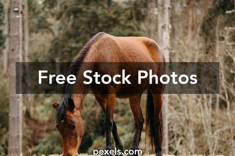 Amateurspreadinglegs Photos Download The Best Free Amateurspreading