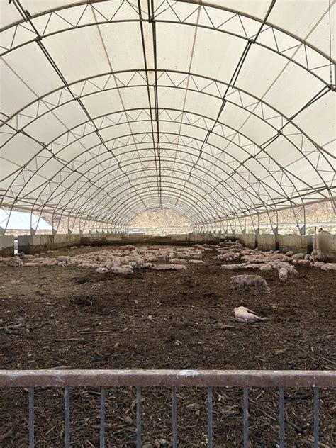 Turning Food Waste Into Animal Feed