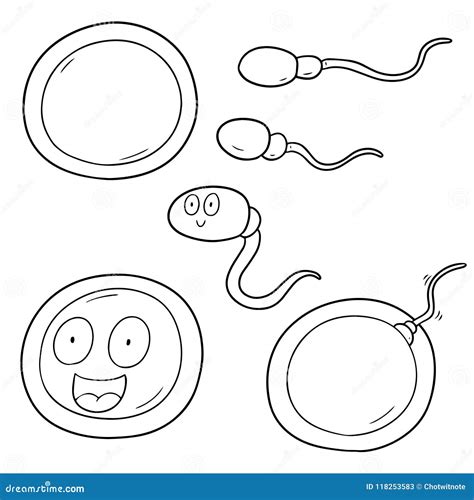Vector Set Of Sperm And Egg Stock Vector Illustration Of Face