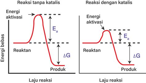 Soal Gambarkan Diagram Tingkat Energi Pada Reaksi Eks
