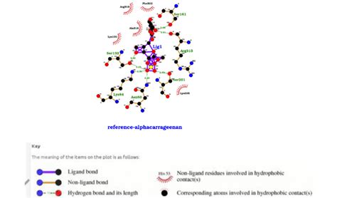 Van Der Waals Forces Definition