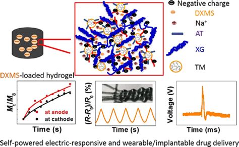 Conductive Injectable And Spinnable Aniline Tetramer Modified Polysaccharide Hydrogels For