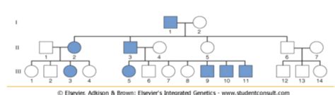SFM Exam 2 Genetic Inheritance Flashcards Quizlet