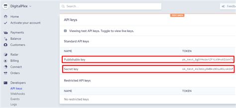 Stripe Checkout Generate Test Api Publishable Secret Keys Codexworld