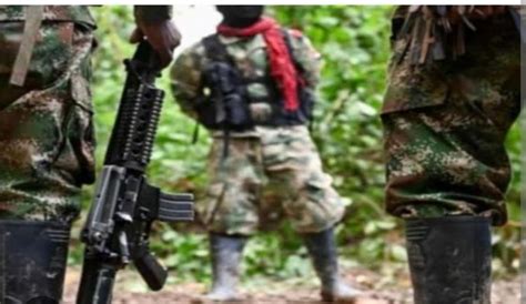 Le Fue Mal A La Disidencias De Las Farc En El Sur Del Tolima Cambioin