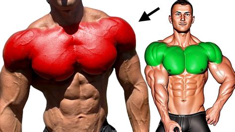 Chest And Shoulder Workout Exercises Maximum Muscles Gain Youtube