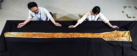 漆や赤色顔料も確認 国内最大の「蛇行剣」くっきり 富雄丸山古墳 産経ニュース