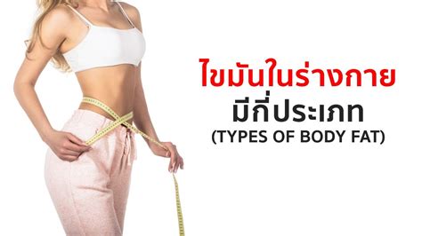 ไขมันในร่างกายผู้หญิง มีกี่ประเภท Youtube