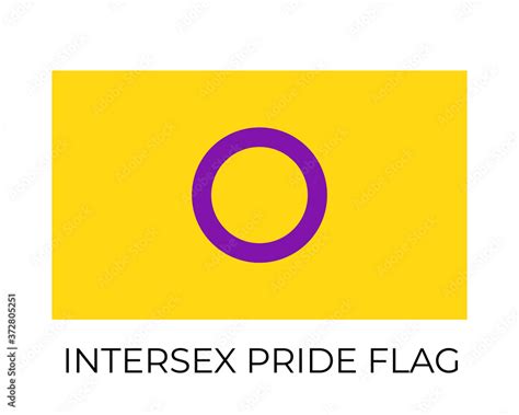 Intersex Pride Flag Symbol Of Lgbt Community Vector Flag Sexual