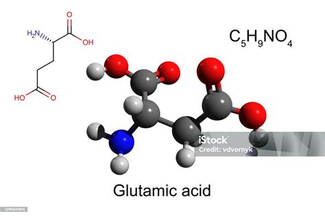 Glutamate Structure