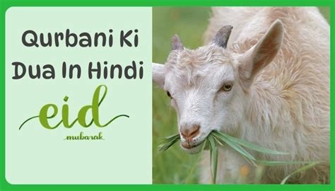 Qurbani Ki Dua In Hindi
