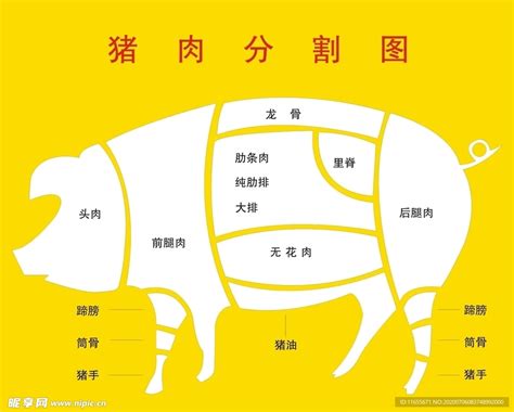 猪肉分割图设计图海报设计广告设计设计图库昵图网