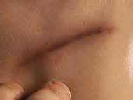 Michele Morrow Nude Pics Videos Sex Tape