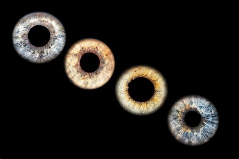 Irisfotografie Einmaliges Kunstwerk Deiner Iris