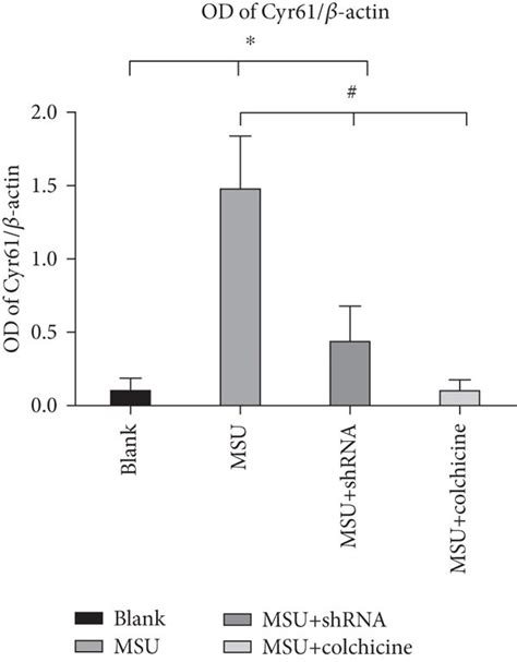 A The Pictures Of Arthritis From The Msu Induced Murine Gout Model