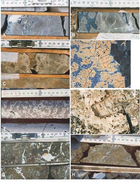 Alteration And Sulphide Textures From The Polaris District Somerset Download Scientific