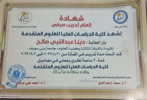 Dina Abdelnaby On Linkedin Grateful That I Got This Certificate As