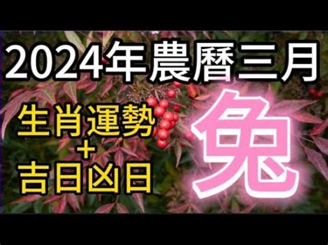 古柏論命每月運勢 吉日凶日2024年農曆三月 陽曆2024年4 9 5 7 生肖運勢分享 兔 YouTube