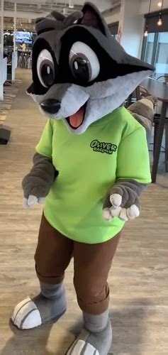 Oliver The Raccoon Great Wolf Lodge Wiki Fandom