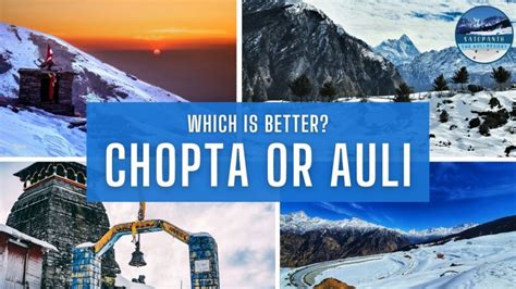 Top 12 Things To Do In Auli Adventure Nature And Hidden Gems In The