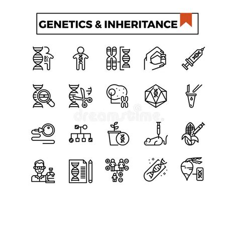 Genetics And Inheritance Outline Design Icon Set Stock Illustration Illustration Of Expriment