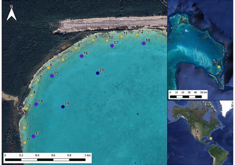 The Bottom Right Panel Shows The Location Of The Bahamas In North