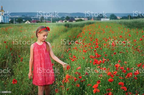 귀여운 여자아이 빨간색 정장용 산책 가시양귀비 필드 Red Dress에 대한 스톡 사진 및 기타 이미지 Red Dress