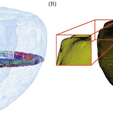 Tensor Field And Finite Element Mesh A Short Axis Slice Of The Download Scientific Diagram