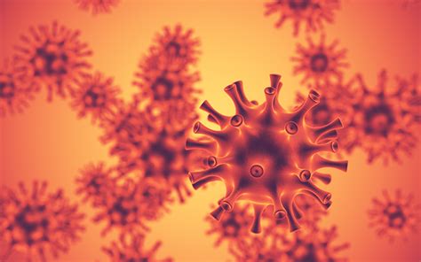 Enveloped Vs Non Enveloped Viruses