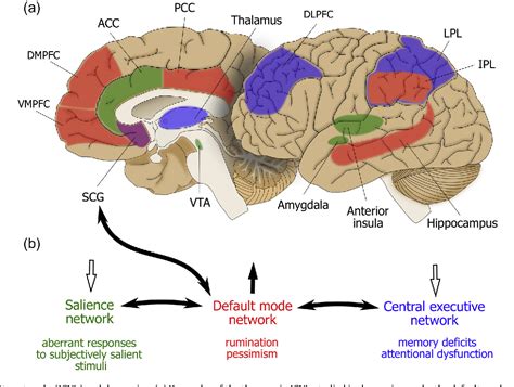 Dorsomedial Prefrontal Cortex Tms