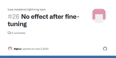 no effect after fine tuning · issue 26 · luca medeiros lightning sam