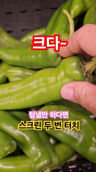 저 이것 좀 따가면 안될까요 해학 Youtube