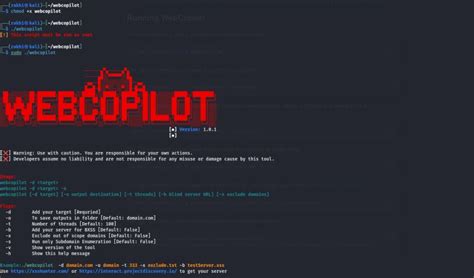 Rakhi A On Linkedin Day Cybersecurity Webcopilot Enumeration