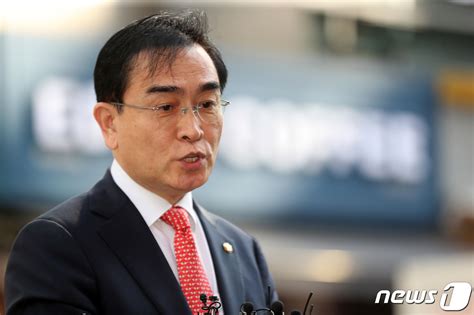 취재진 질문에 답하는 태영호 최고위원 네이트 뉴스