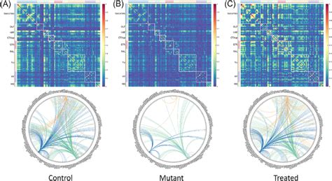 Correlation Matrices And Circular Graphs For A Control B Mps I Download Scientific