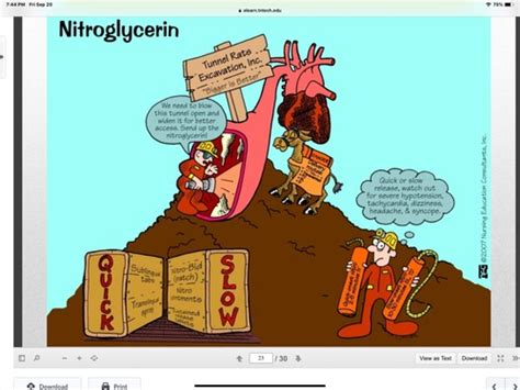 Med Surg Exam Flashcards Quizlet