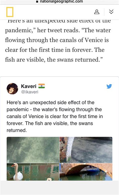 Alok Bhatt On Twitter There Is Something Called Shamelessness And