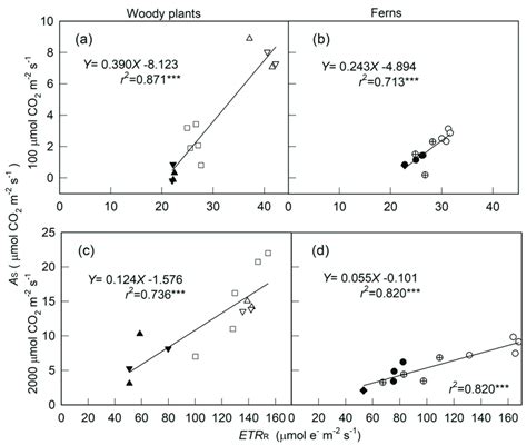 Relationship Between Net Photosynthetic Rate From Steady State Light Download Scientific